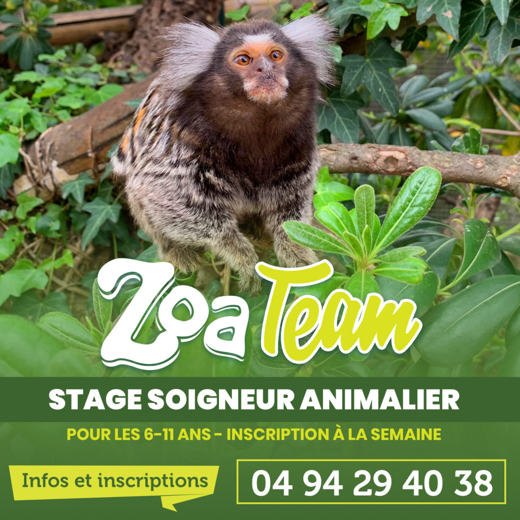 Stages Soigneur animalier 2023 - ZOA