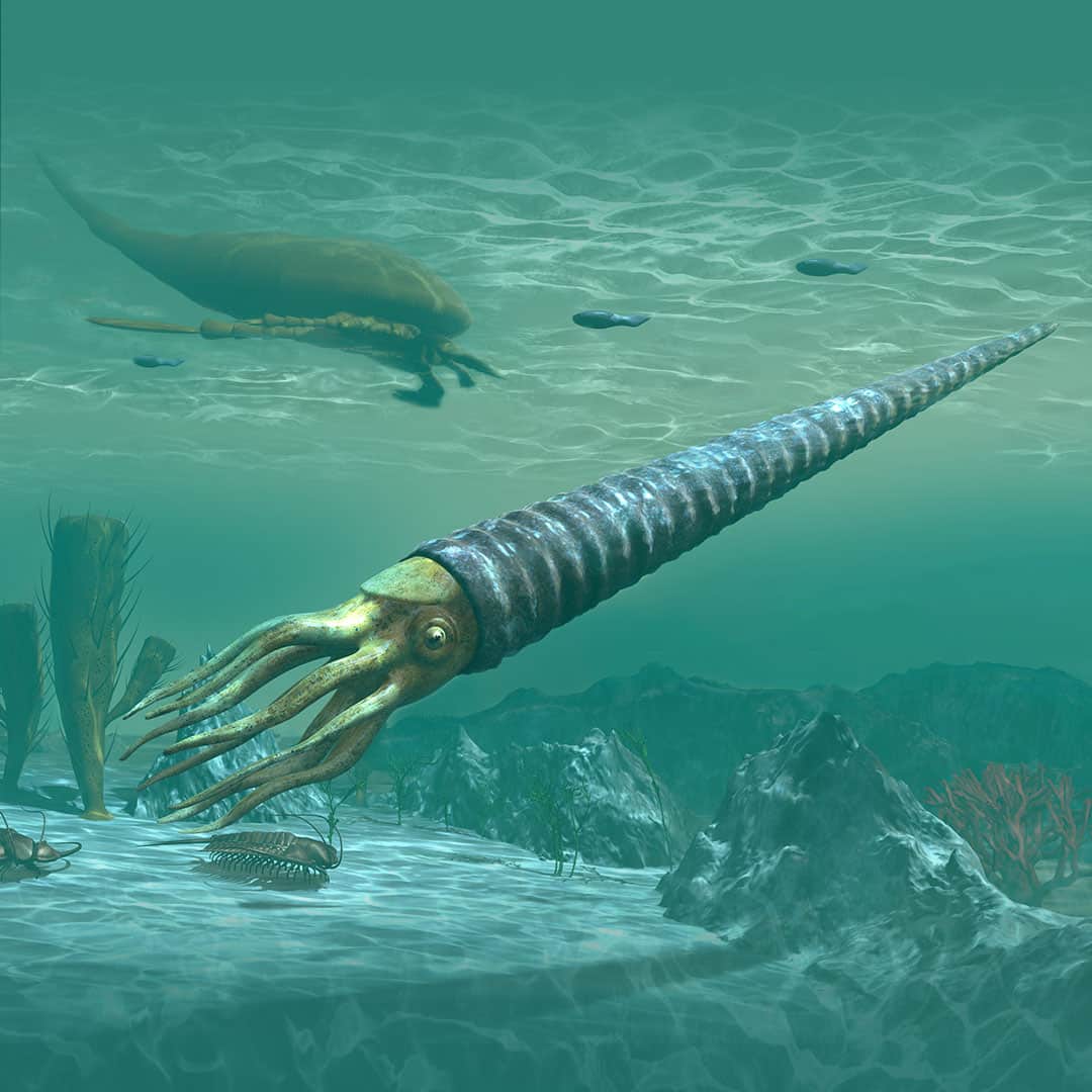 Evolution des océans - ZOA